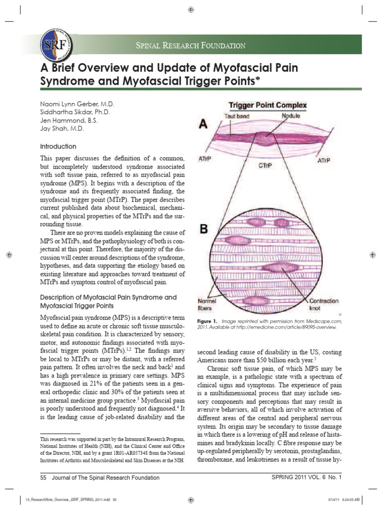A Brief Overview and Update of Myofascia | PDF