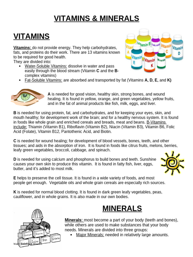 Vitamins Minerals Handout 2 | PDF