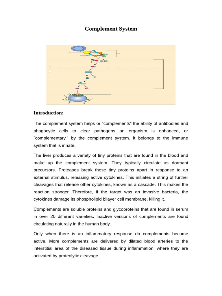 Complement System | PDF