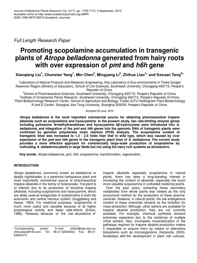 Atropa Belladonna Generated From Hairy Roots PMT and h6h Gene | PDF ...