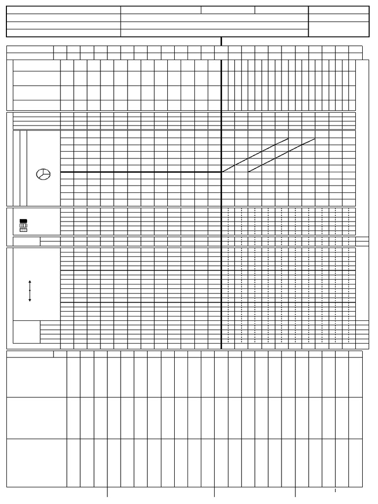 Blank Partogram | PDF
