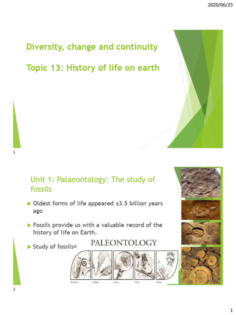 Gr10 Topic 13 - History of Life On Earth CC | PDF | Fossil ...