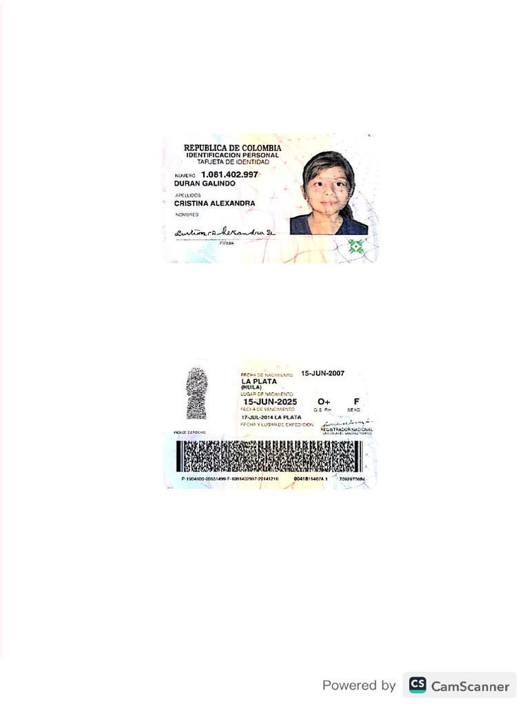 Documento de Identidad | PDF