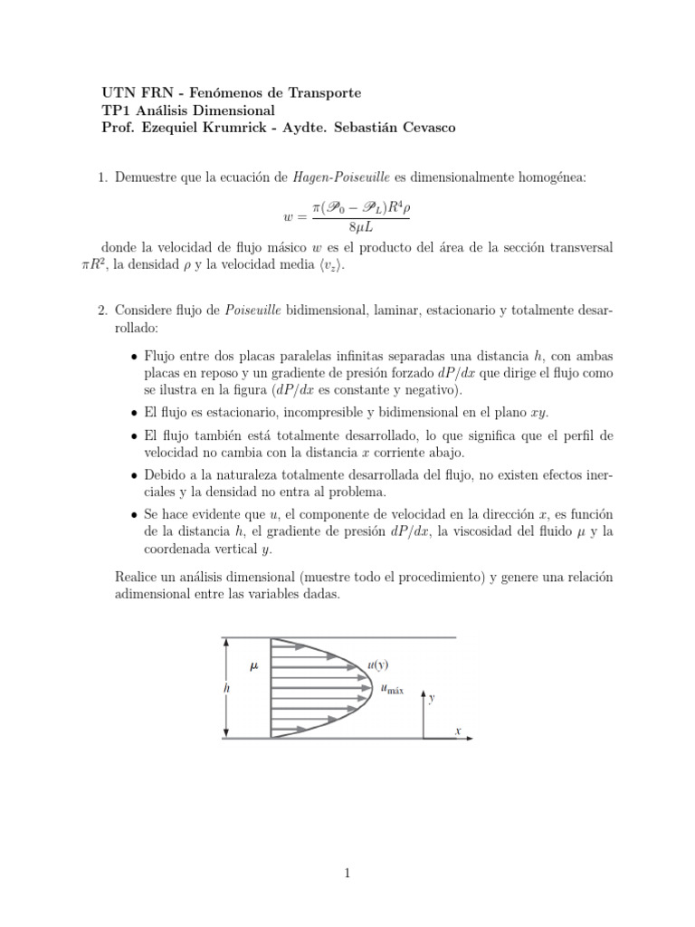 FDT 2022 TP1 Análisis Dimensional | PDF