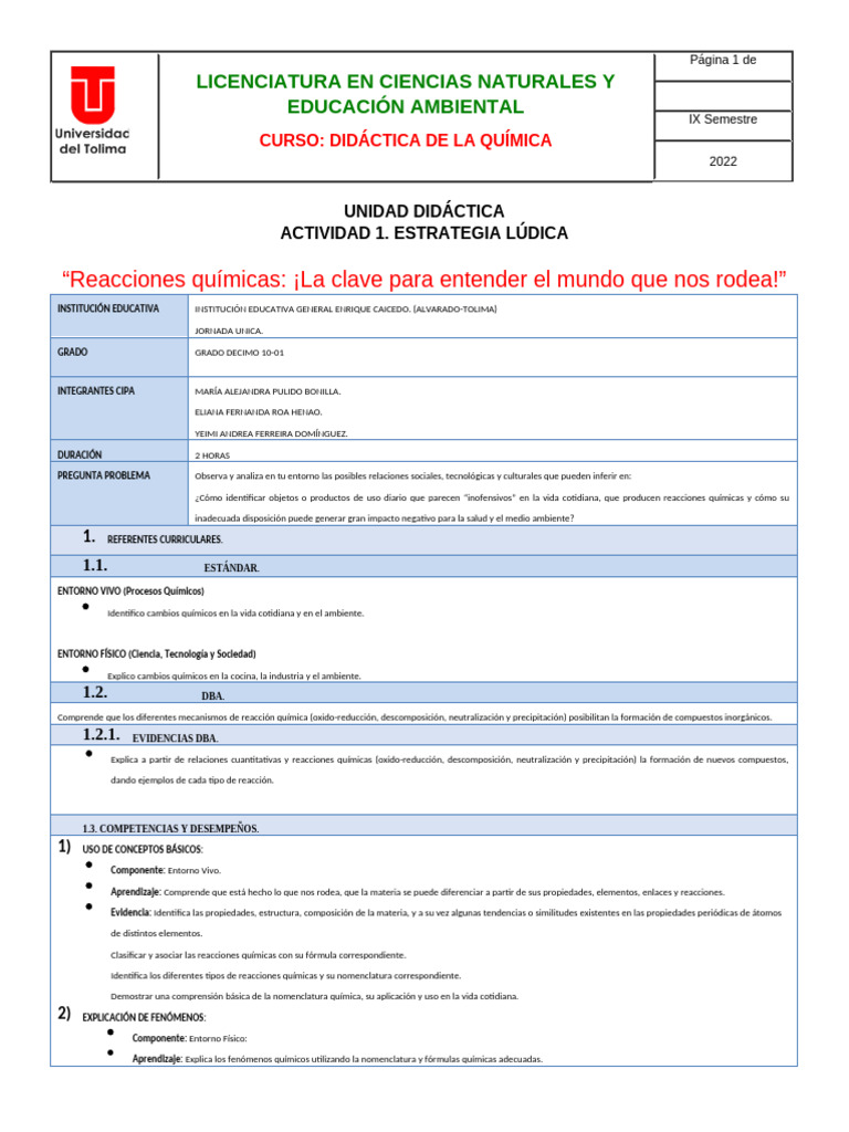 Un Dic T1 Cipa 02 G02 Correccion Roa Pulido Ferreira | PDF