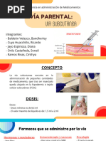 Cuadrantes para Inyección Intramuscular | PDF | Inyección (medicina ...