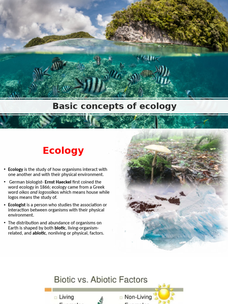 Basic Concepts of Ecology | PDF