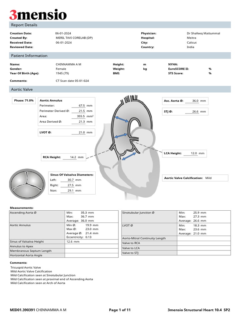 3mensio Report - 71% - CHINNAMMA A M - DR Shafeeq Mattummal - Meitra ...
