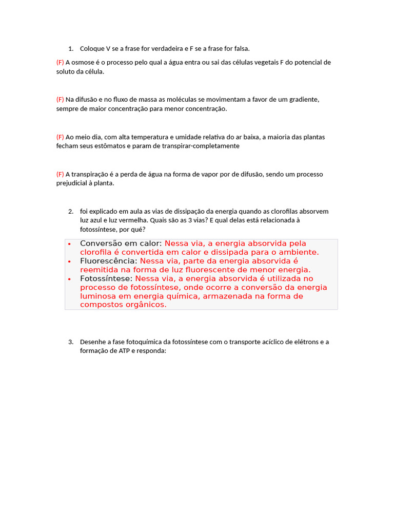 Prova Do Ano Passado Feita e Corrigida | PDF