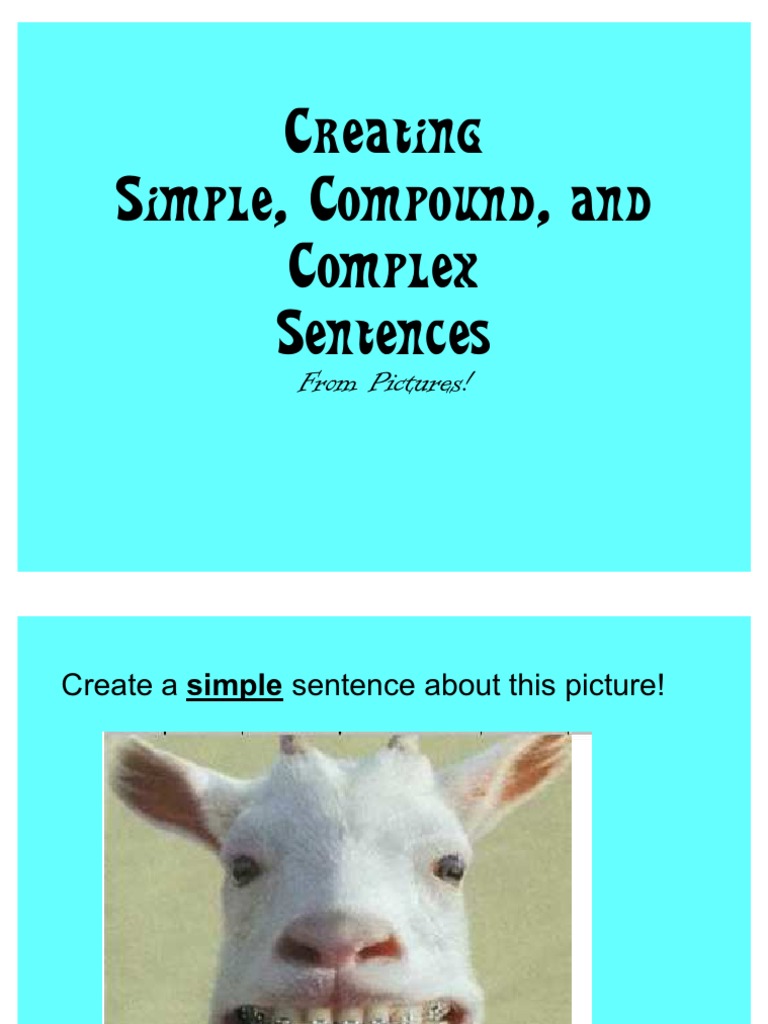 Create Sentences For The Following Pictures | PDF