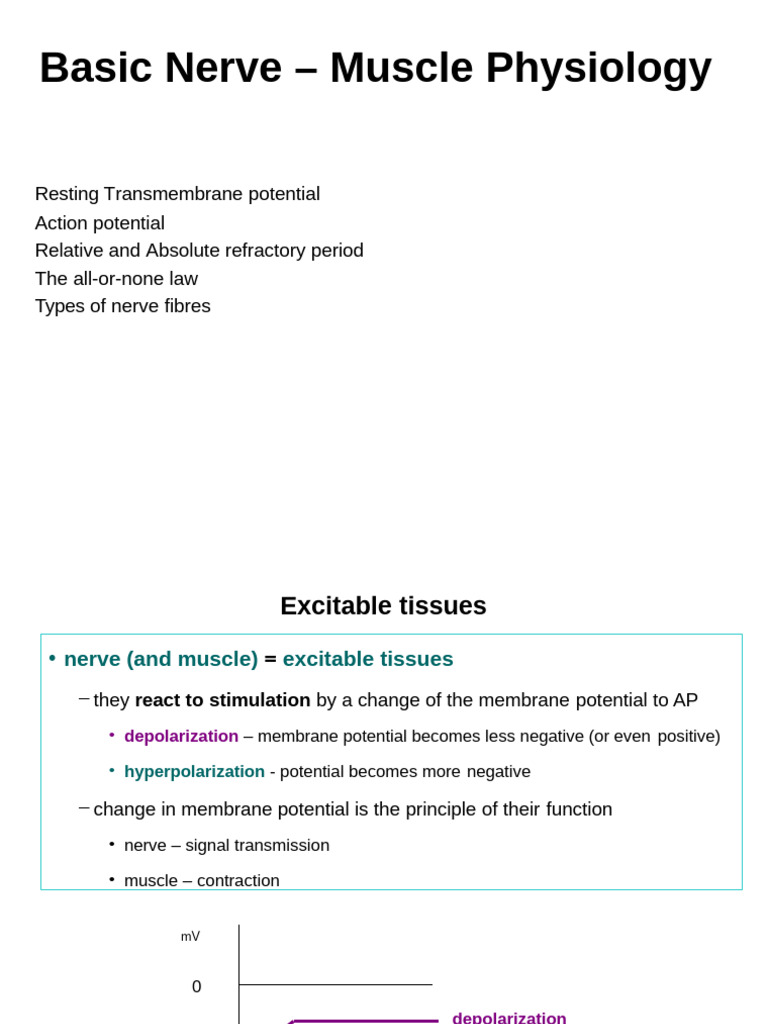 02 Electrophysiology of Muscle | PDF