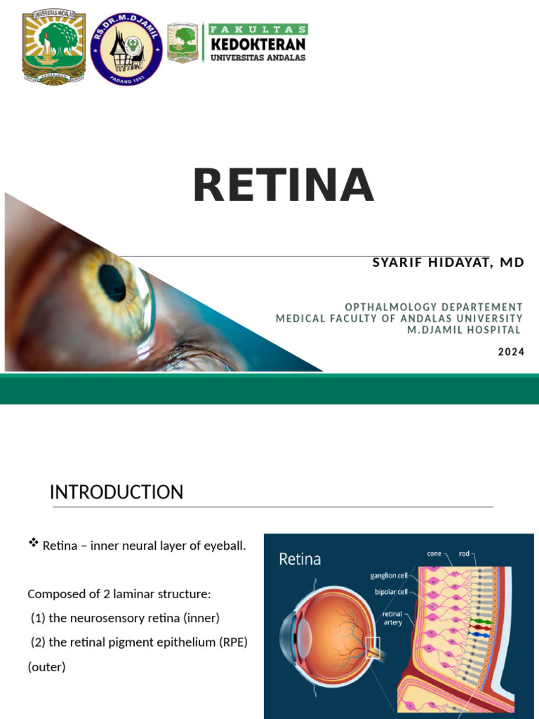 Syarif Hidayat - Retina | PDF