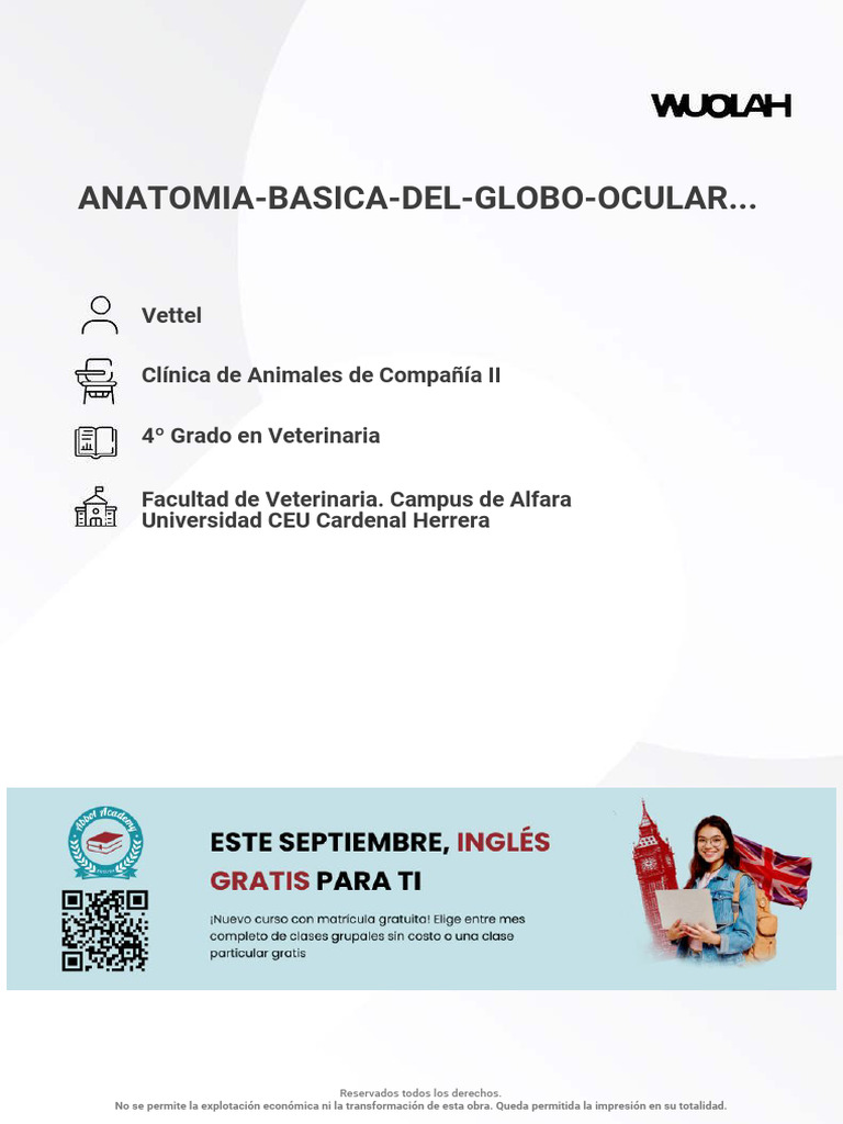 Wuolah Free ANATOMIA BASICA DEL GLOBO OCULAR Y ANEJOS | PDF