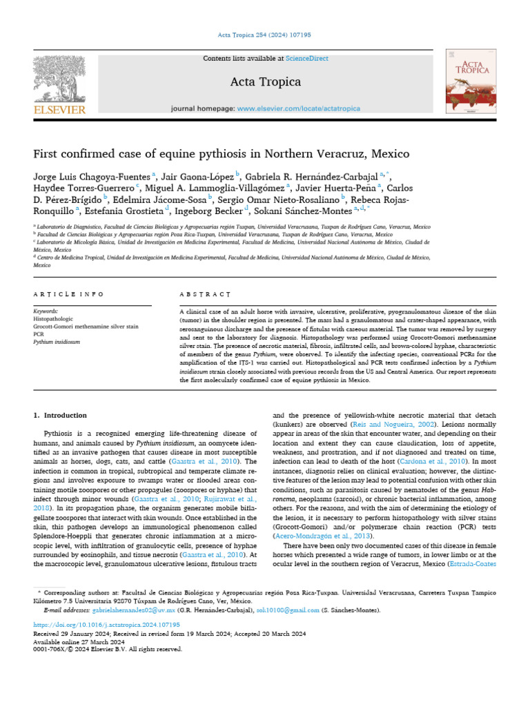 First Confirmed Case of Equine Pythiosis in Northern Veracruz, Mexico ...