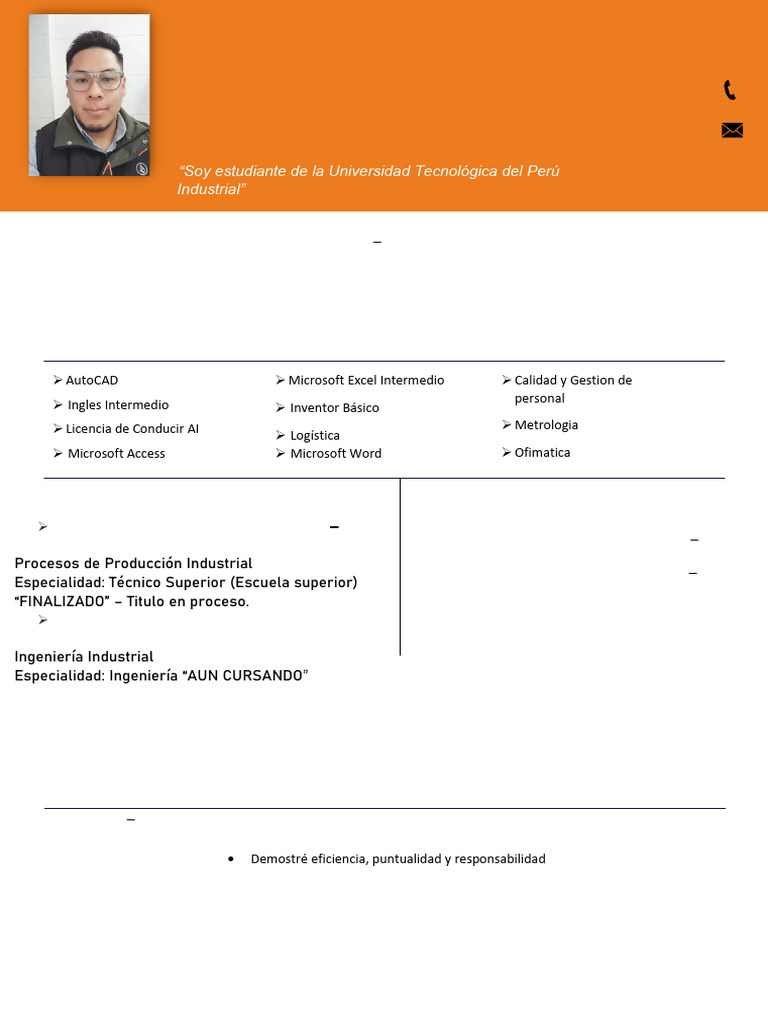 Curriculum Vitae Ivan Pozo 2023 IV | PDF