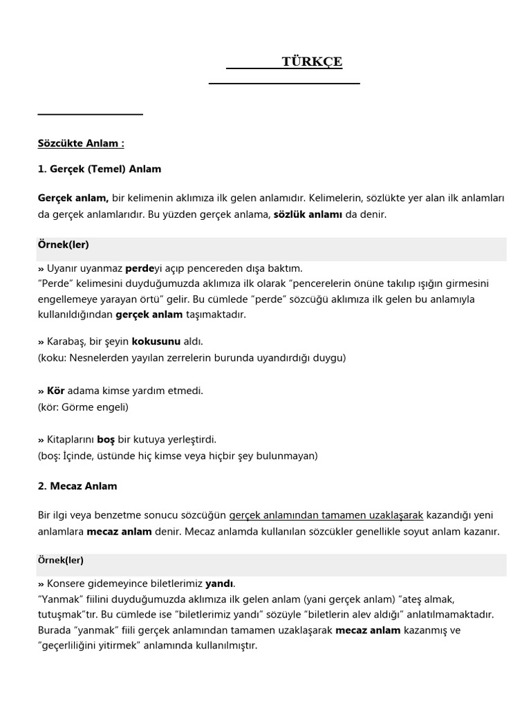 Sinif 6 Turkce | PDF