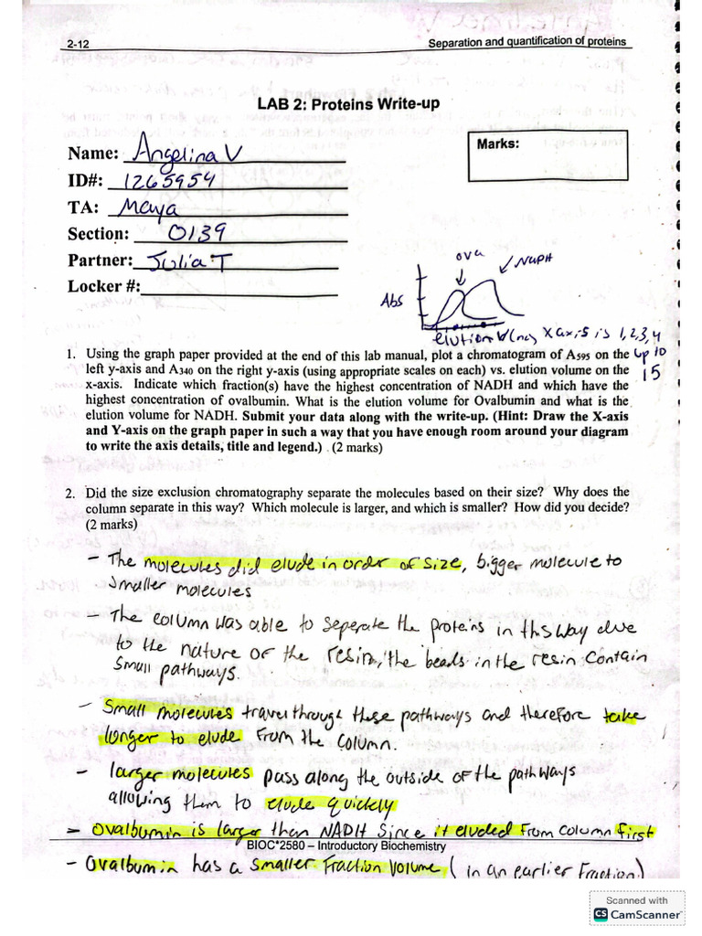 Biochem Protein Lab | PDF