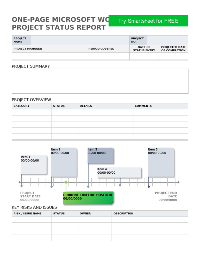 IC One Page Microsoft Word Project Status Report 11770 - WORD | PDF
