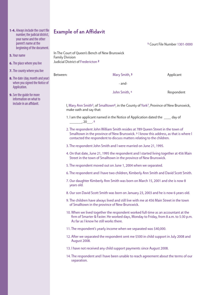 Custody Access Support Example 11 Affidavit | PDF