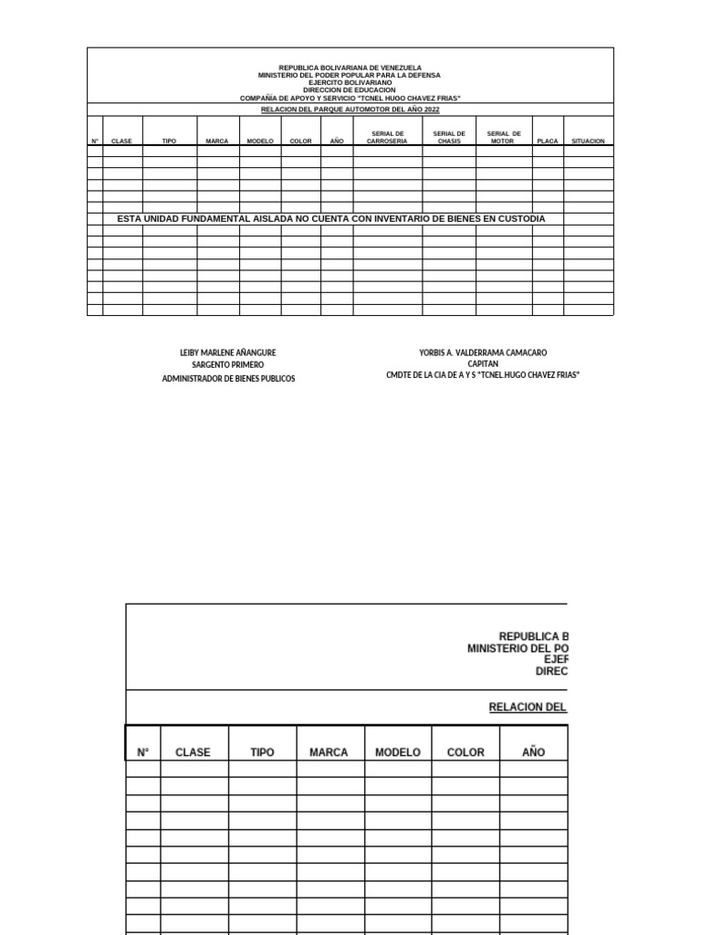 Formato Relacion Del Parque Automotor 2 | PDF