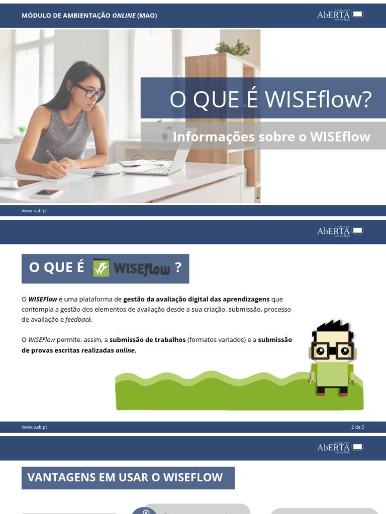 WISEflow_guiapratico_informacoesbasicas_v24-25 | PDF