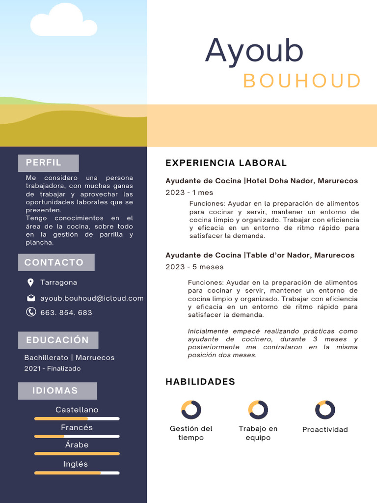 CV Ayoub Bouhoud | PDF
