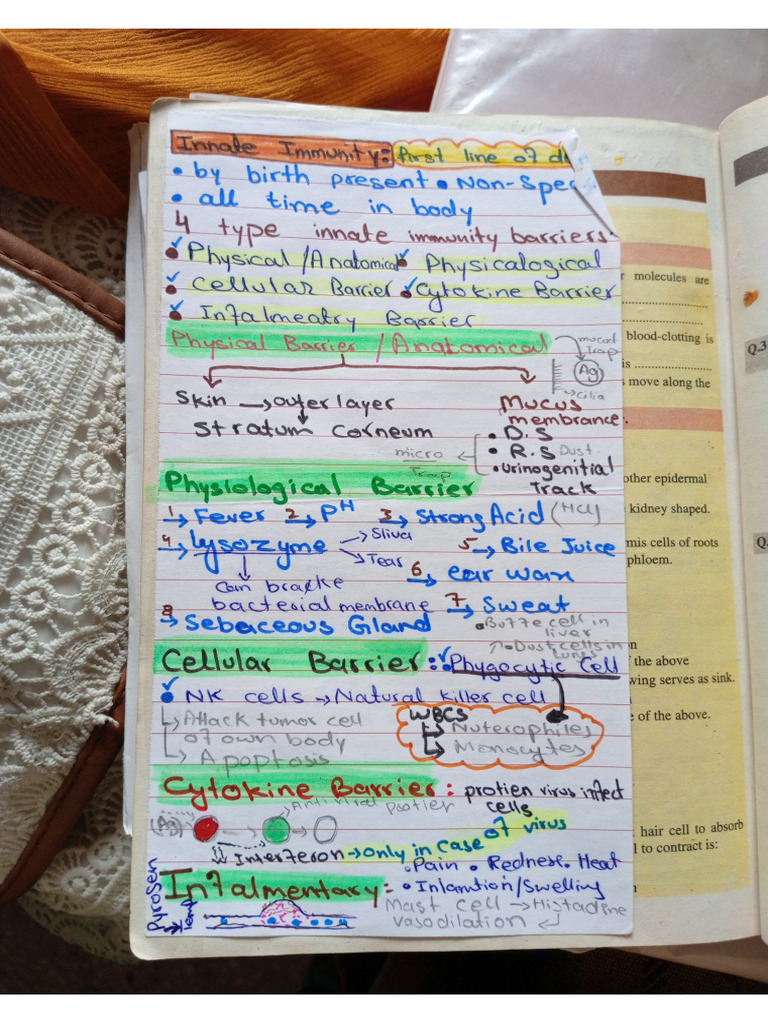 Immunity Types | PDF