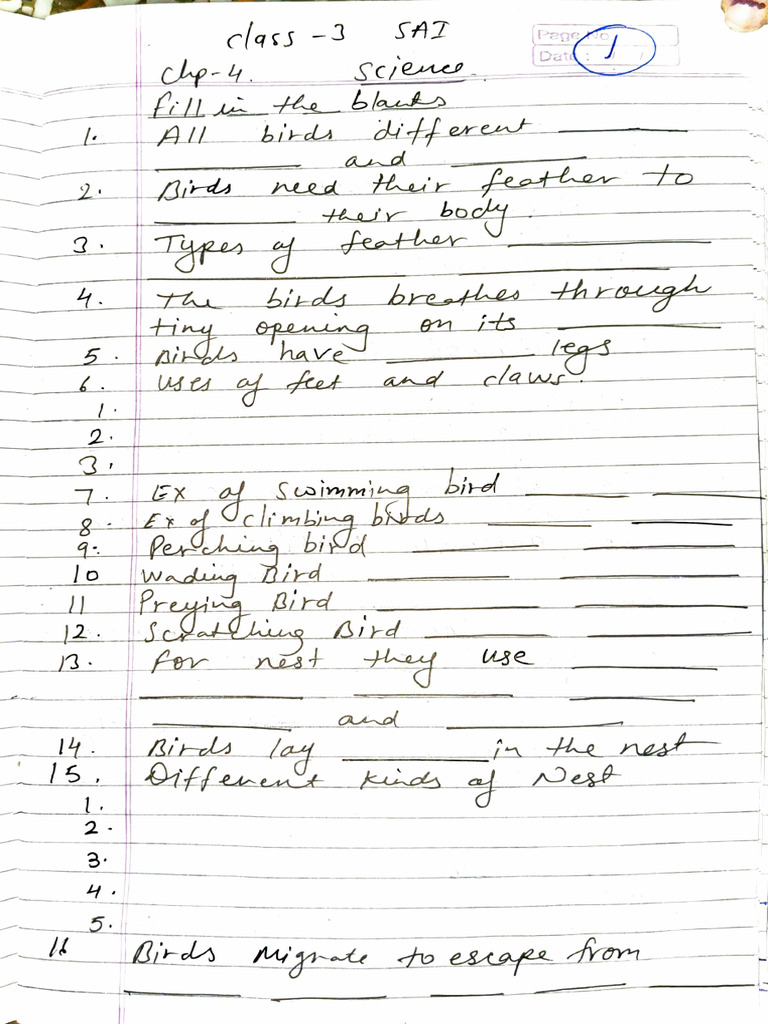 Class 3 Science Sa1 | PDF