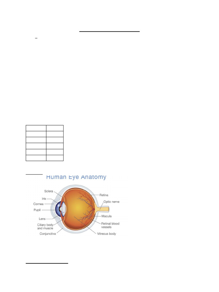 The Eye Notes (Int Sci) | PDF