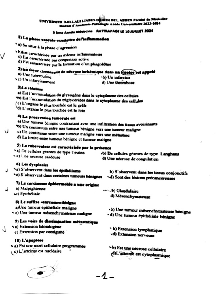 Rattrapage Anapath 2024 | PDF
