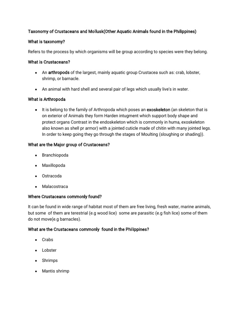 Phylum Mollusk and Phylum Arthropods | PDF | Crustacean | Mollusca