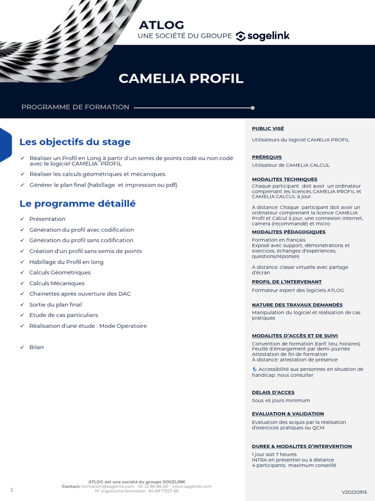 Camelia Profil | PDF
