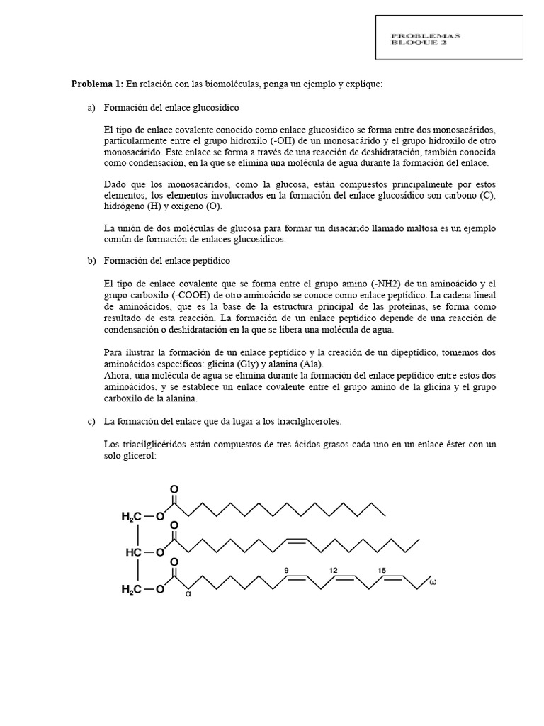 Bloque 2 Problemas Repaso | PDF