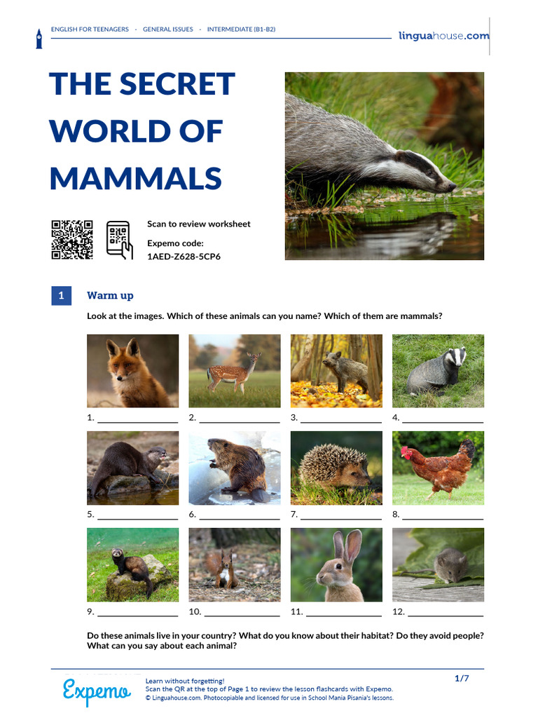 The Secret World of Mammals British English Student | PDF