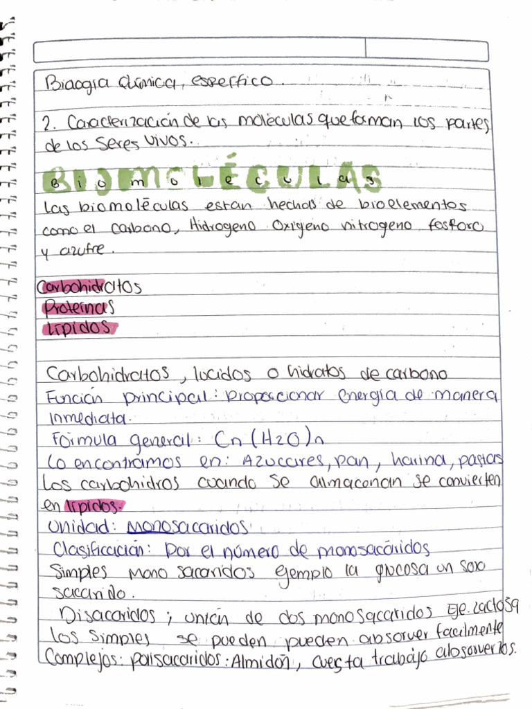 Biomoleculas Info | PDF