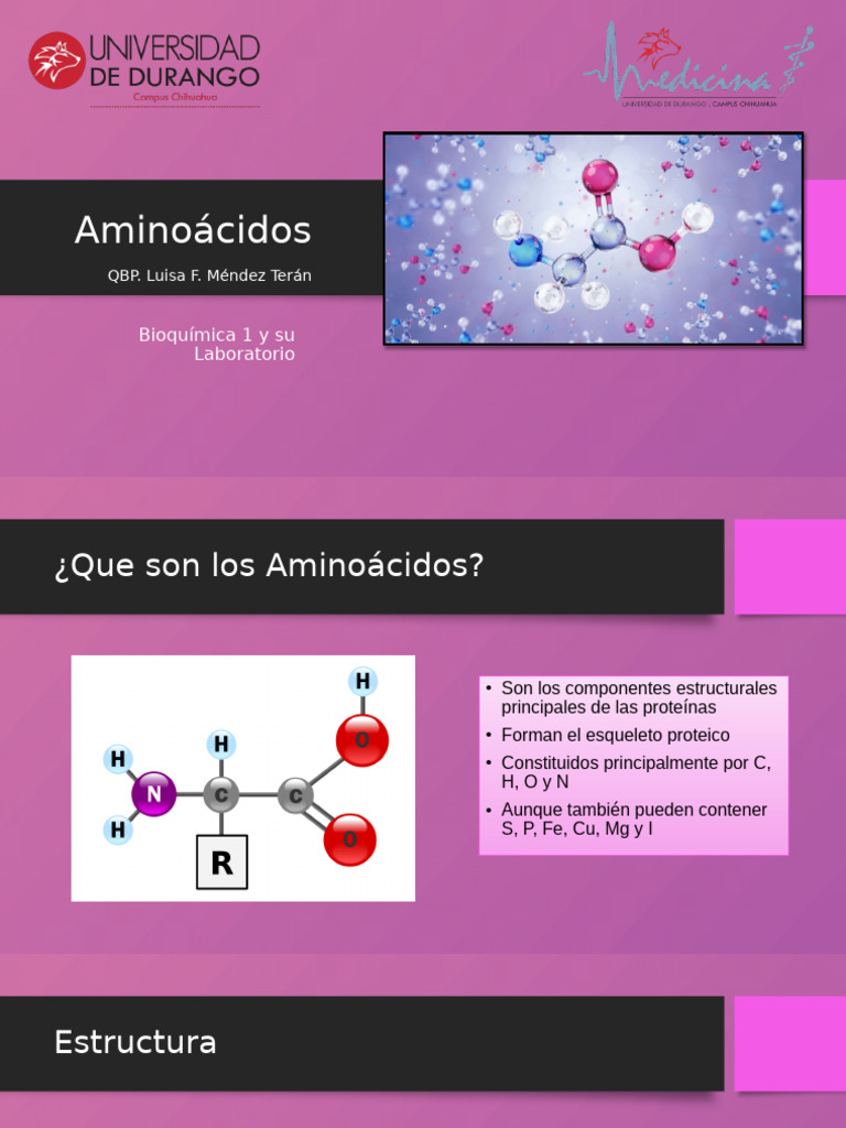 Amino Ã¡cidos | PDF