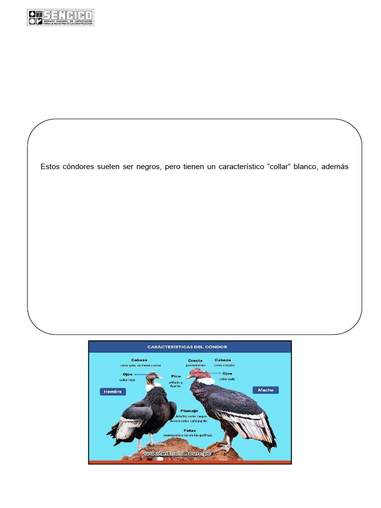 Sesión N.º 07. Tarea para Identificar Temas, Subtemas, Ideas Principales e Ideas Secundarias | PDF