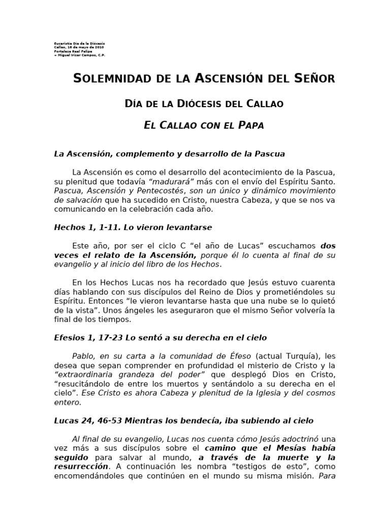 Homilía Día de La DIócesis 2010 | PDF