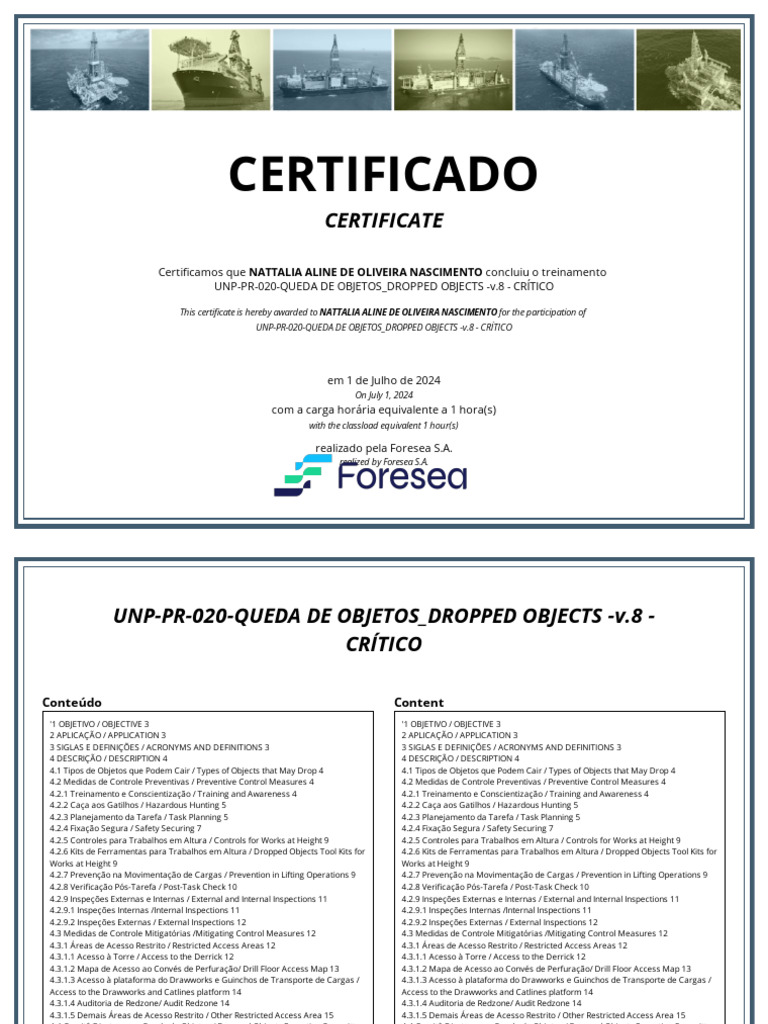 Certificado - UNP-PR-020-QUEDA DE OBJETOS - DROPPED OBJECTS - v.8 - CRITICO | PDF