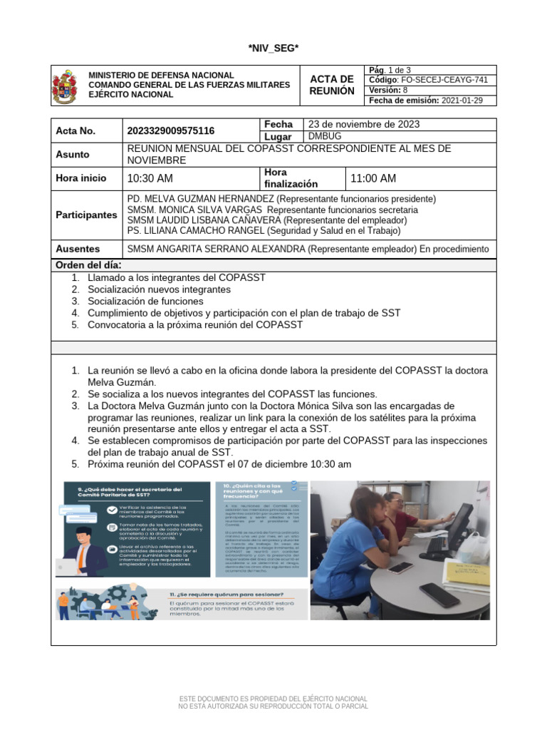Acta de Reunión Copasst Noviembre | PDF