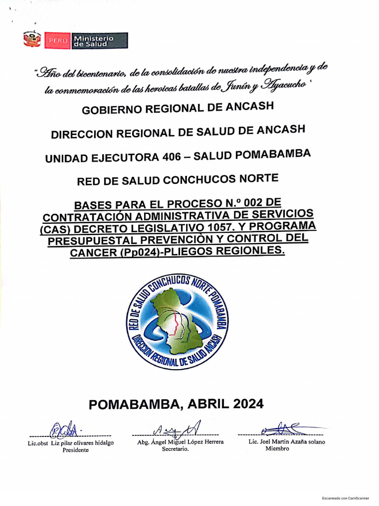 Bases para El Proceso Contratacion Cas 2024 | PDF