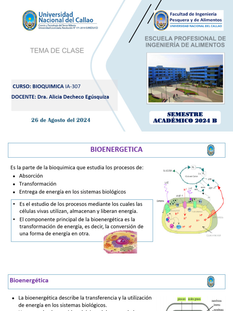 PRESENTACION_BIOENERGETICA_S2_TEORIA_2024 B | PDF
