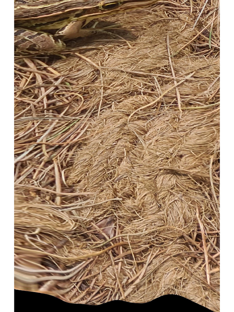 기본 폴더 - 20241003 | PDF