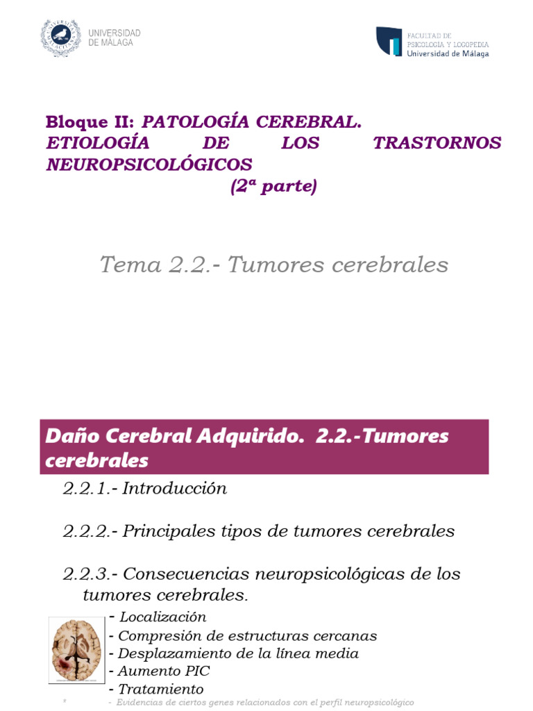Tema 2 (2 Parte) - Tumores Cerebrales | PDF | Tumor cerebral | Cáncer