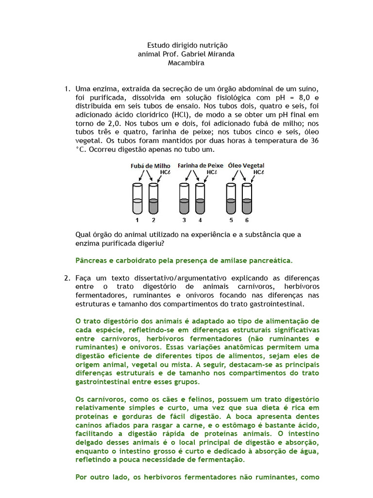 Estudo Dirigido | PDF