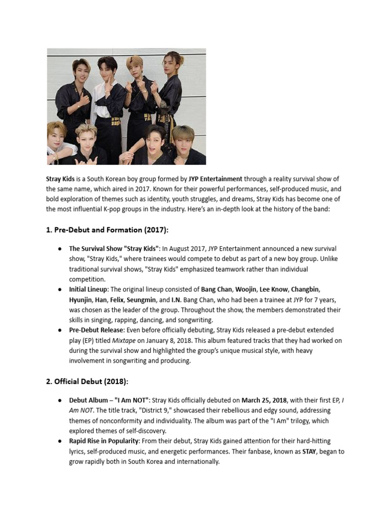 All About Stray Kids | PDF