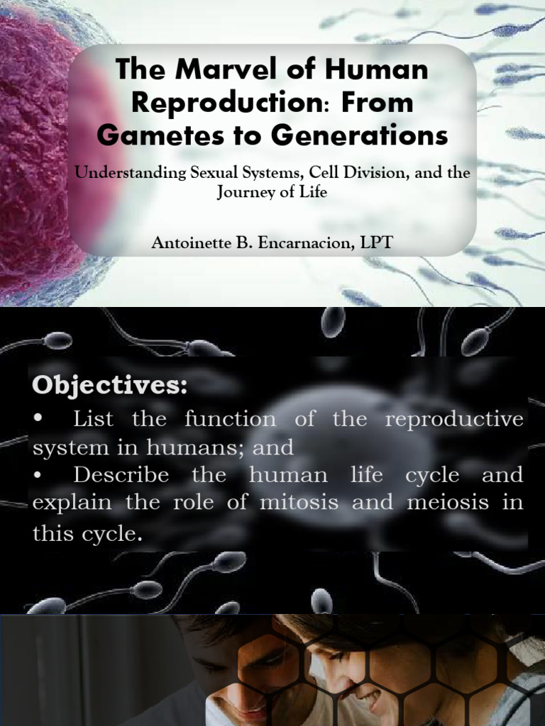 The Marvel of Human Reproduction | PDF
