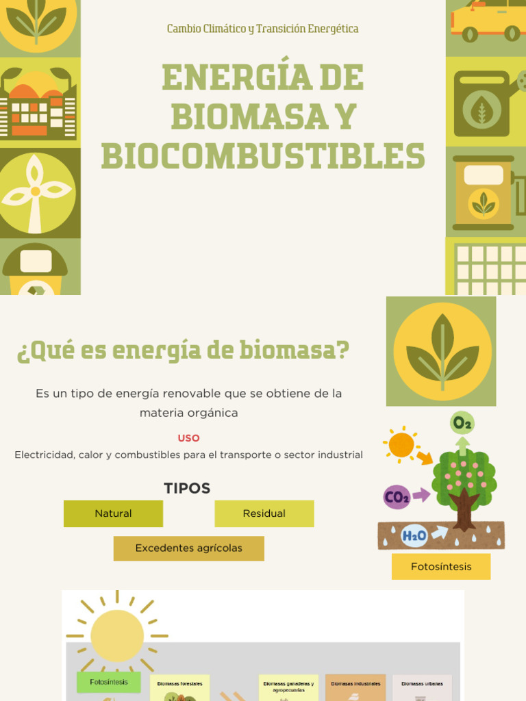 Biomasa y Biocombustibles | PDF