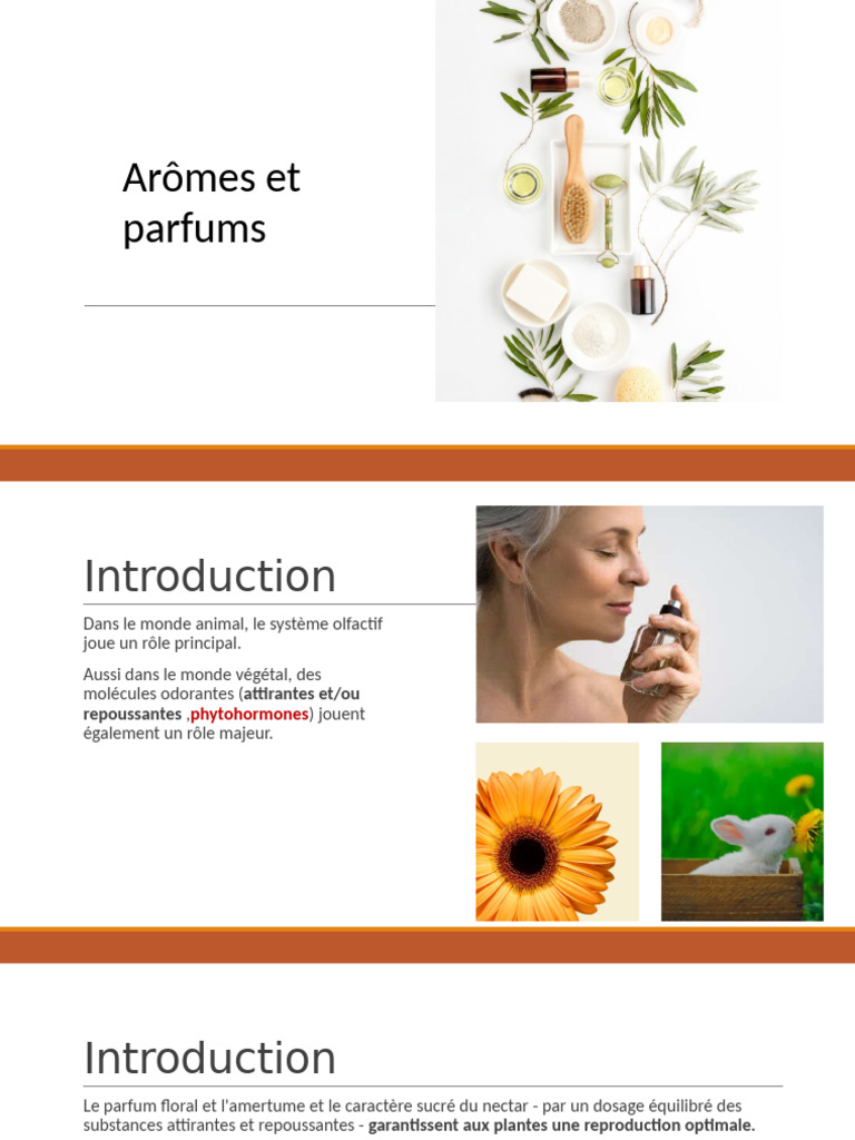 Parfums Et Aromes | PDF