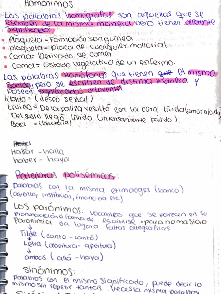 Homónimos | PDF